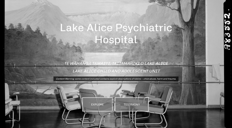Lake Alice Psychiatric Hospital Aotearoa New Zealand: a visual ...